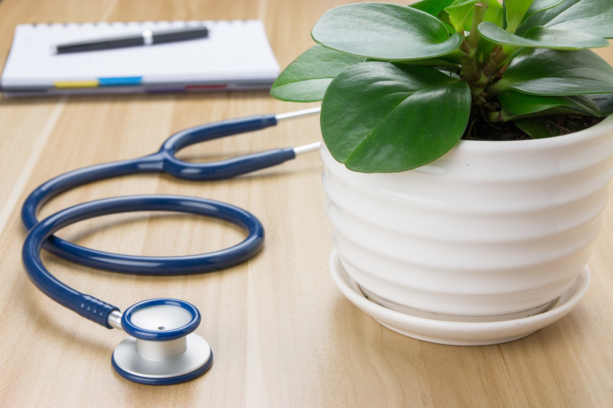 3 Tips for Creating an Inviting Doctors Office Waiting Room