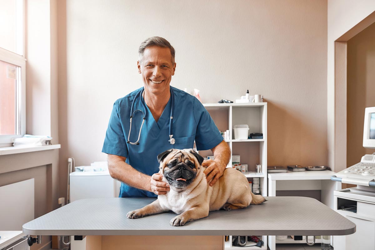 Upgrade Your Vet Clinic: Top 4 Design Ideas for Inspiration